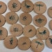 Wooden Matching Memory Game insects Essential Montessori - Etsy
