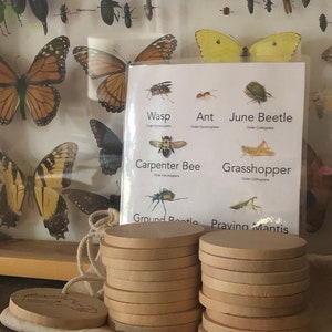 Wooden Matching Memory Game (insects) - Essential Montessori - Etsy