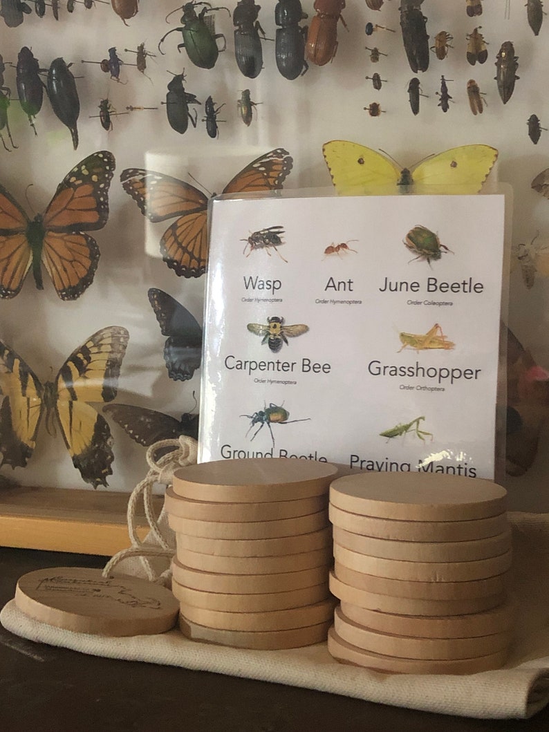 Wooden Matching Memory Game insects Essential Montessori - Etsy