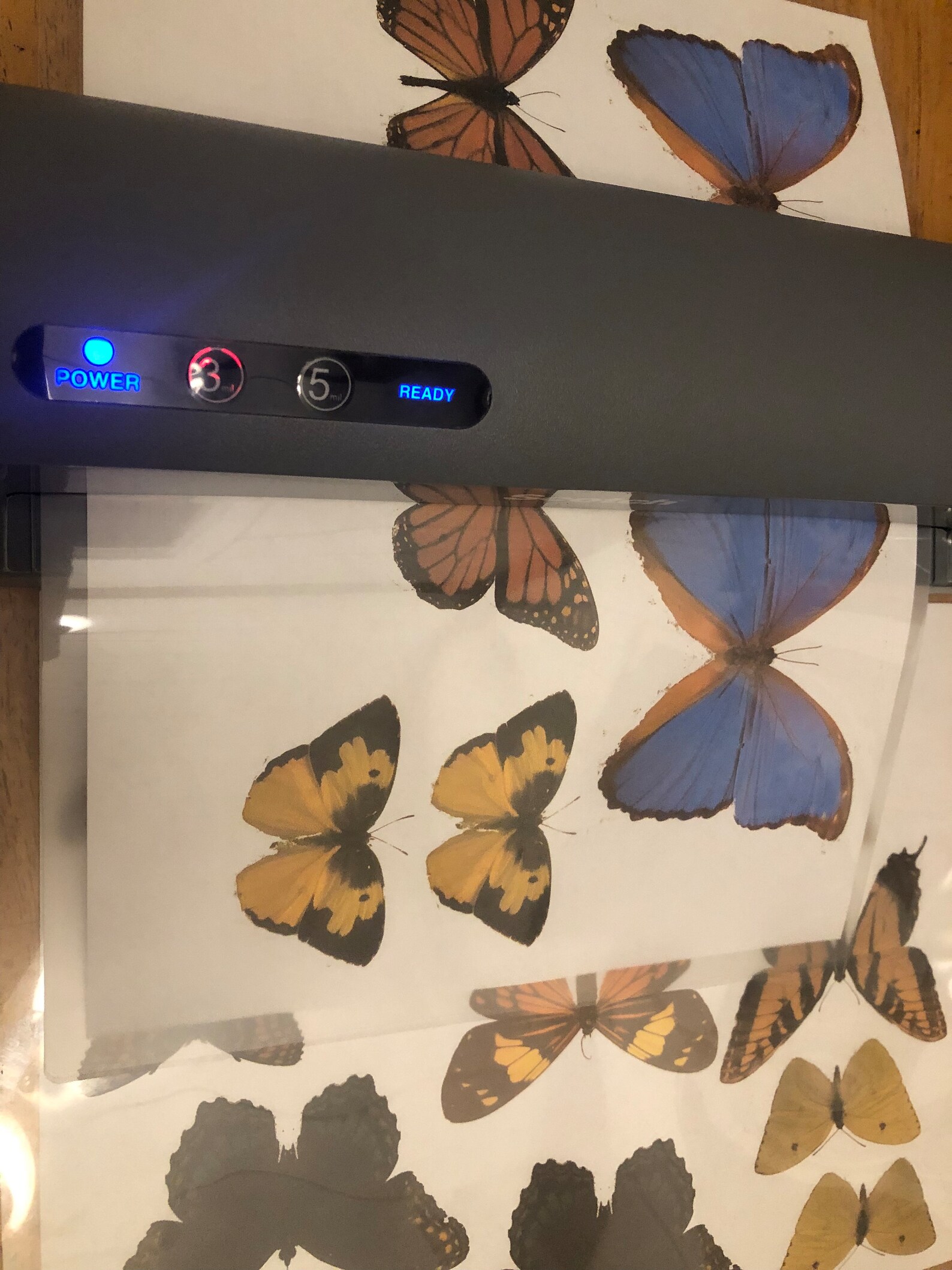 Essential Montessori Butterfly Mobile Visual Montessori - Etsy