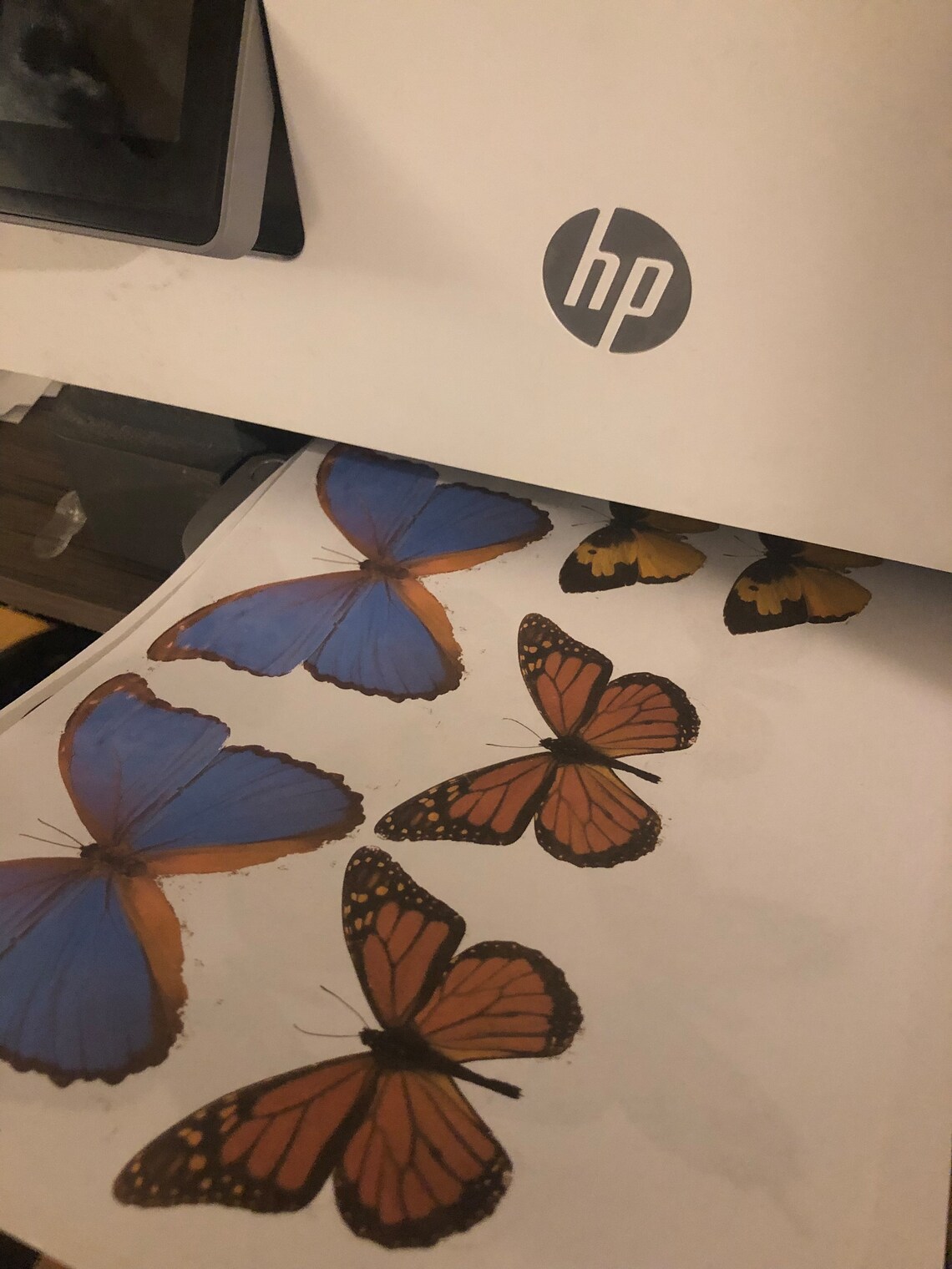 Essential Montessori Butterfly Mobile Visual Montessori - Etsy