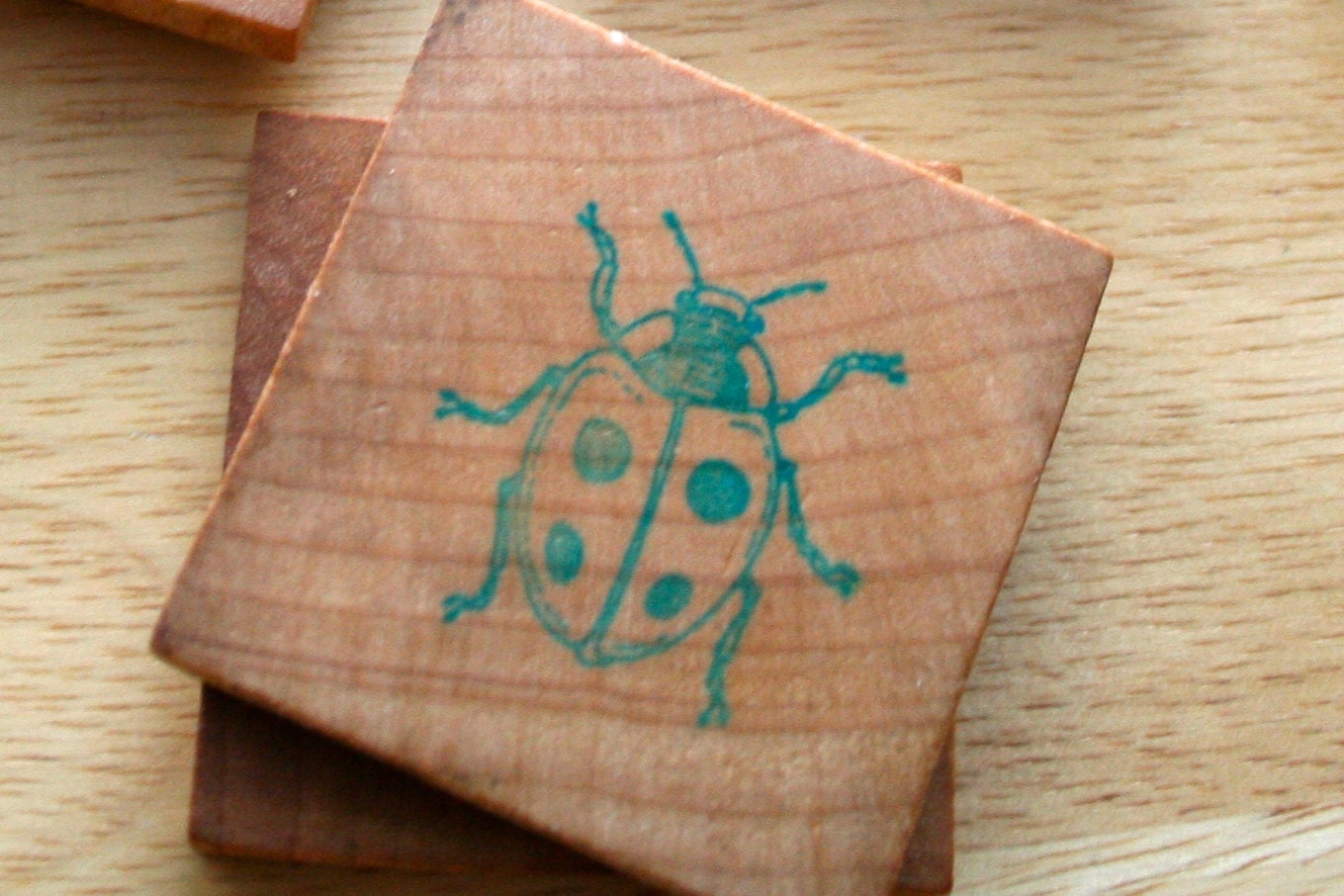 Wooden Matching Memory Game Insects Montessori Inspired | Etsy