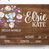 Mountain Birth Stat Sign, Baby Birth Stat Sign, Hospital Bassinet Sign ...