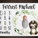 Mountain Birth Stat Sign, Baby Birth Stat Sign, Hospital Bassinet Sign ...