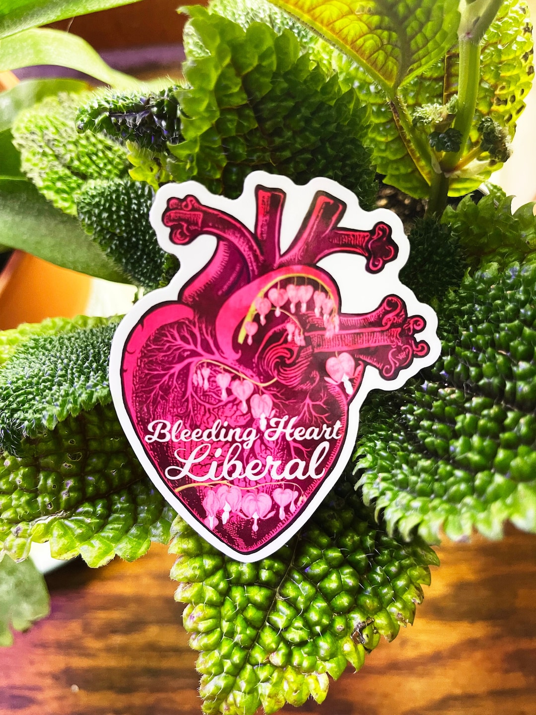 Feminist Sticker: Bleeding Heart Liberal, Meme Sticker - Etsy
