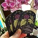 Feminist Sticker: We Can Do the Impossible, Octavia Butler - Etsy