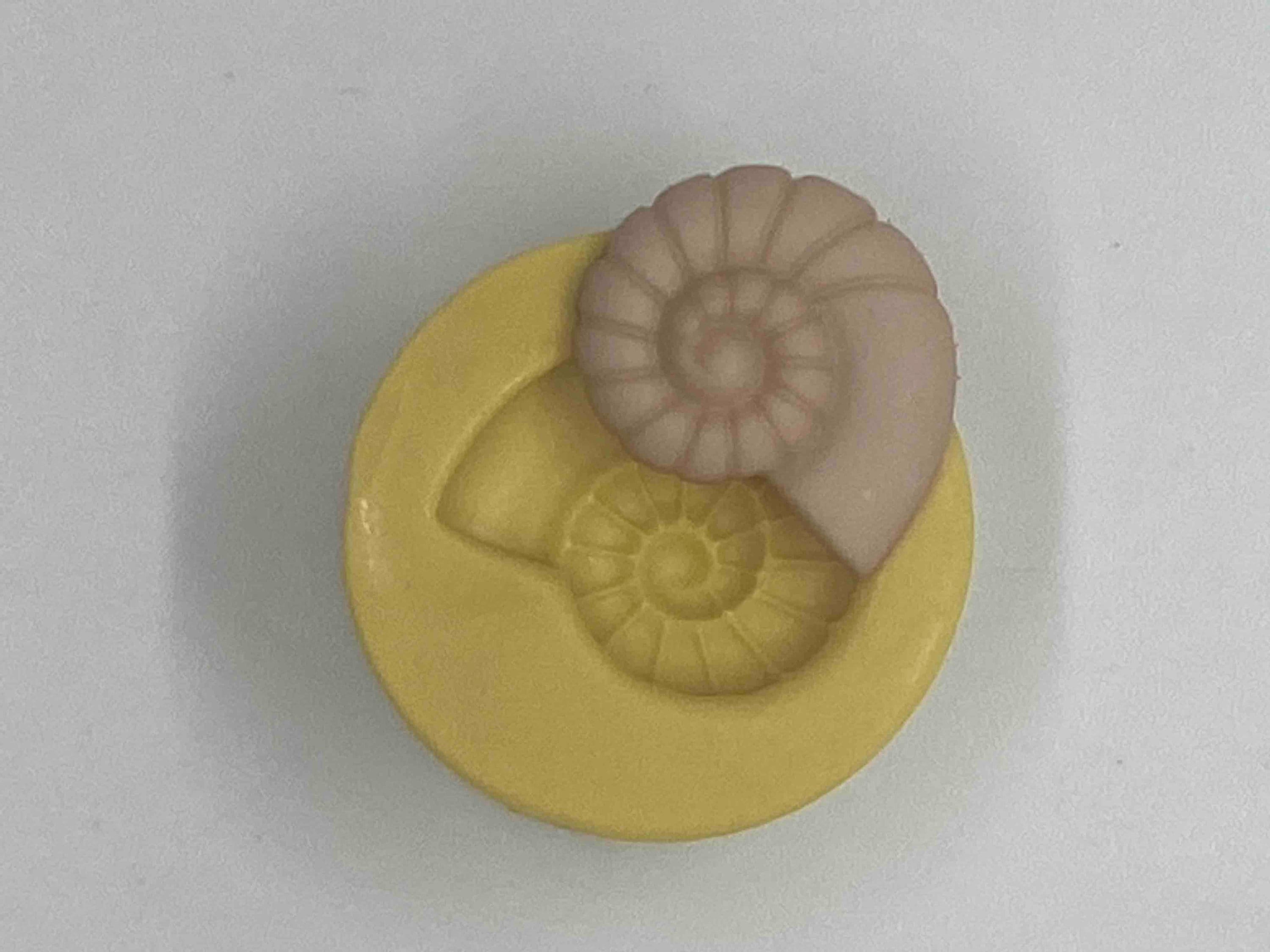 NAUTILUS/AMMONITE Shell Flexible Mold Choose from Three | Etsy