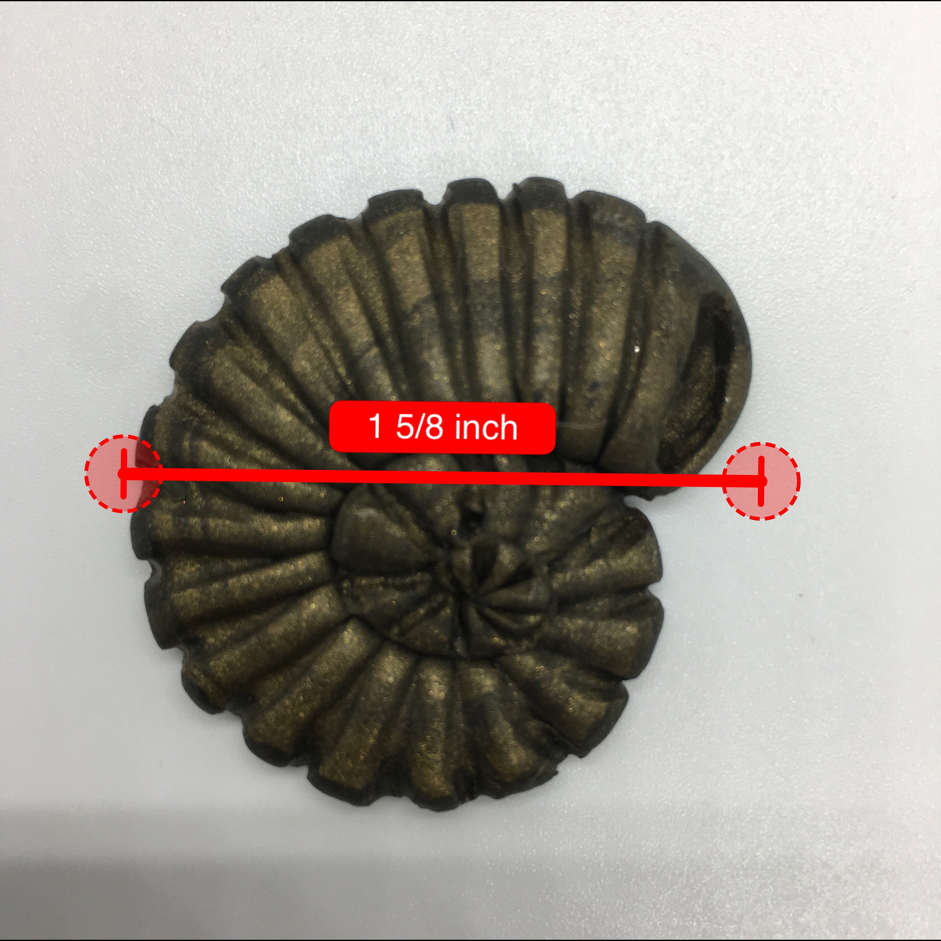 NAUTILUS/AMMONITE Shell Flexible Mold Choose from Three | Etsy