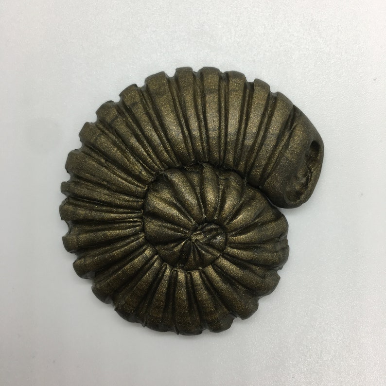 NAUTILUS/AMMONITE Shell Flexible Mold - Choose From Three Sizes - Etsy