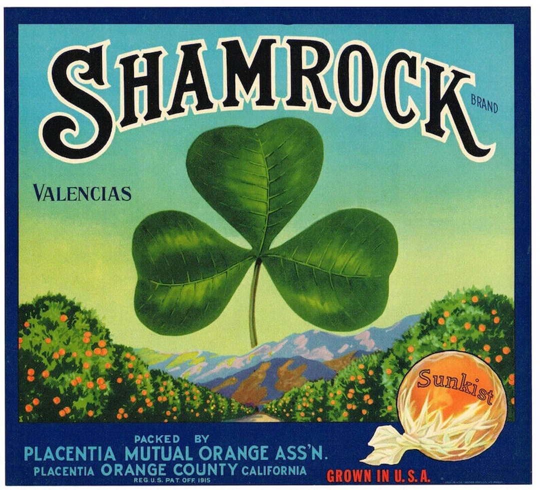 Vintage 1930s Shamrock Sunkist Crate Label, St. Patrick's Day Decor ...