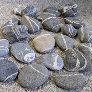 Black White Stripe - Etsy