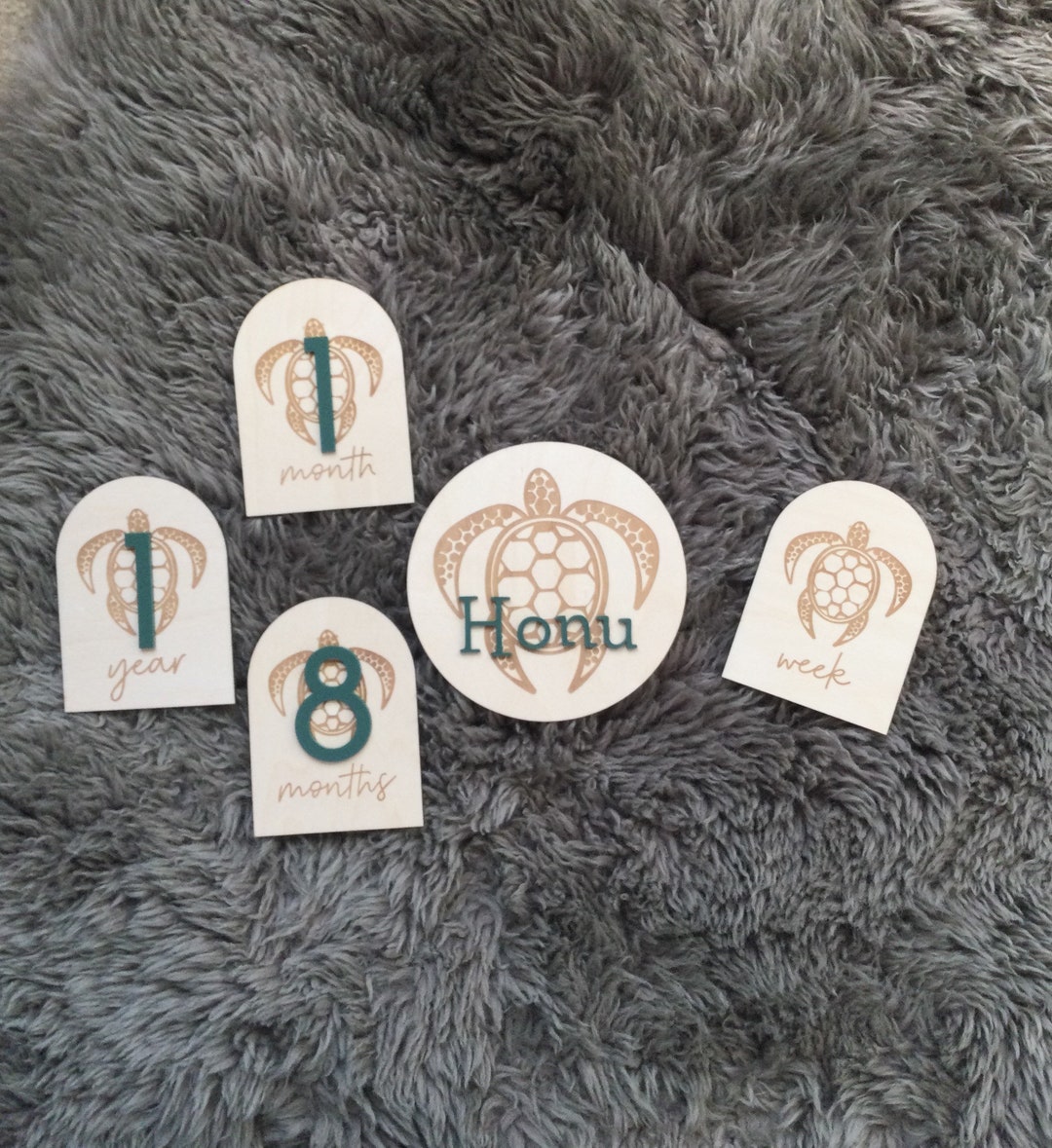 Turtle Monthly Milestone Markers - Etsy