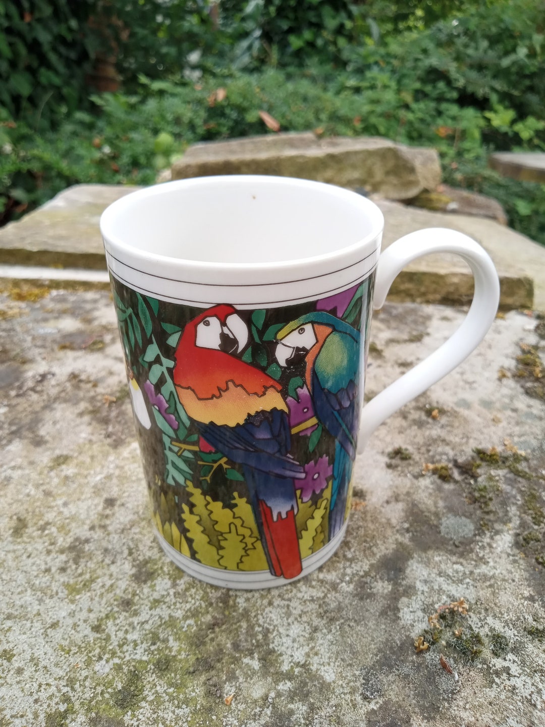 Dunoon Stoneware Burma Mug Vgc - Etsy