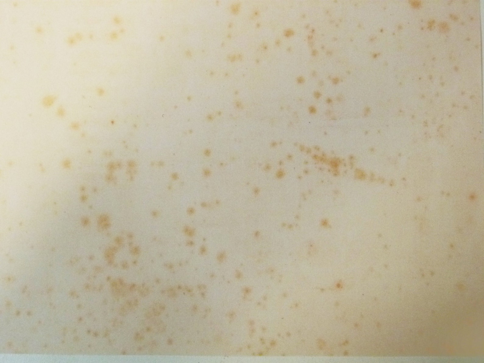 A4 ANTIQUE EFFECT Plain Paper 25 Sheets Double Sided Vintage Blank ...