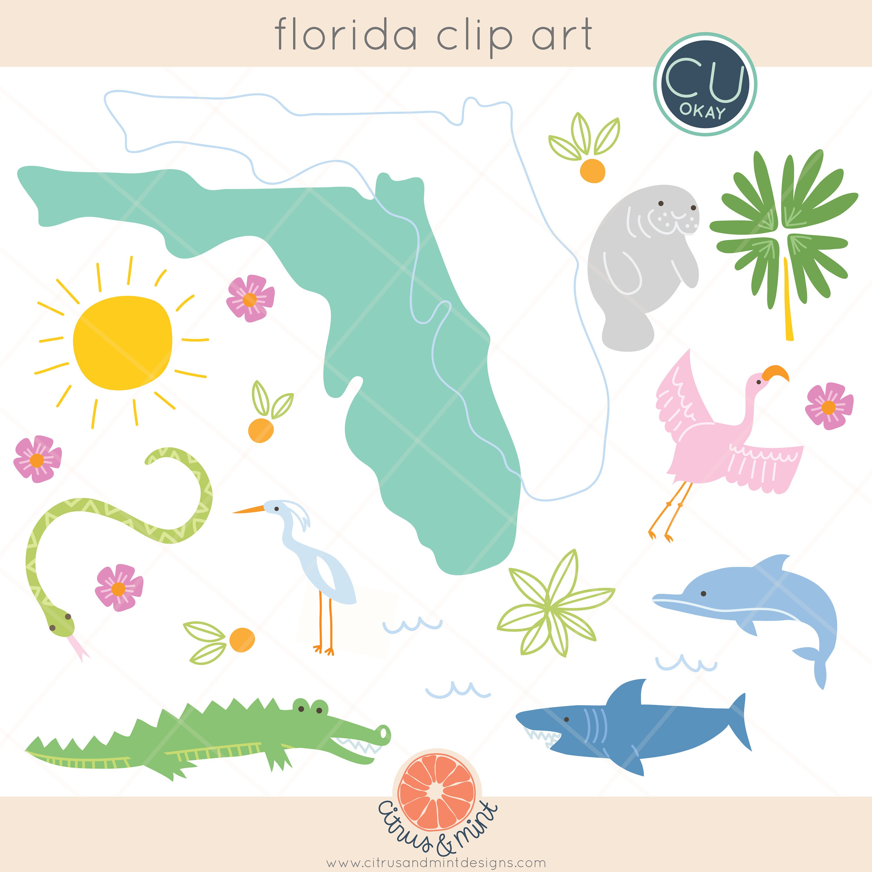 Florida Tropical Clip Art Graphics - Hand-drawn Digital Illustrations ...