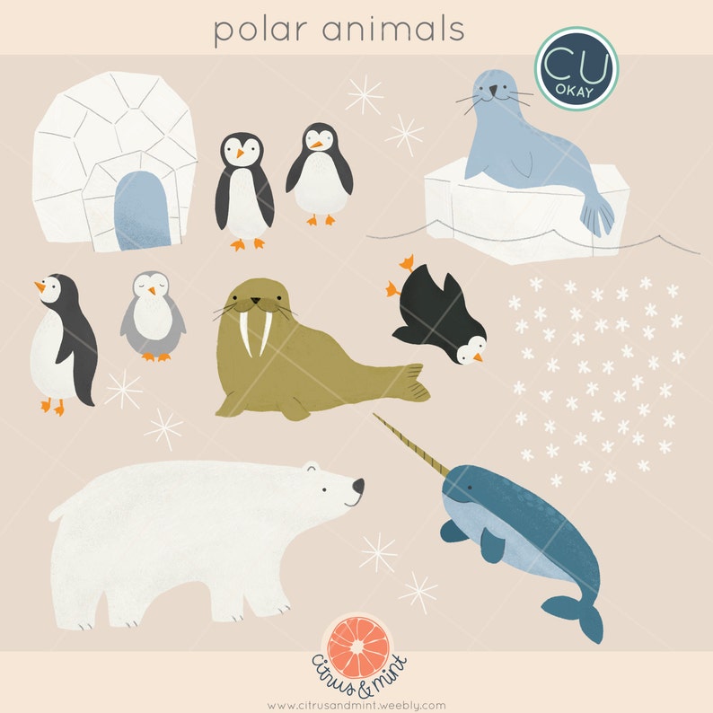 Polar Animals Clip Art Graphics- Penguins Narwhal Walrus - Hand-drawn ...
