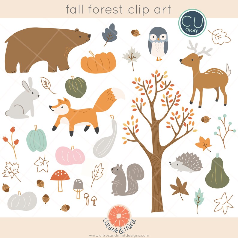 Woodland Forest Fall Animal Clip Art Graphics - Hand-drawn Digital ...