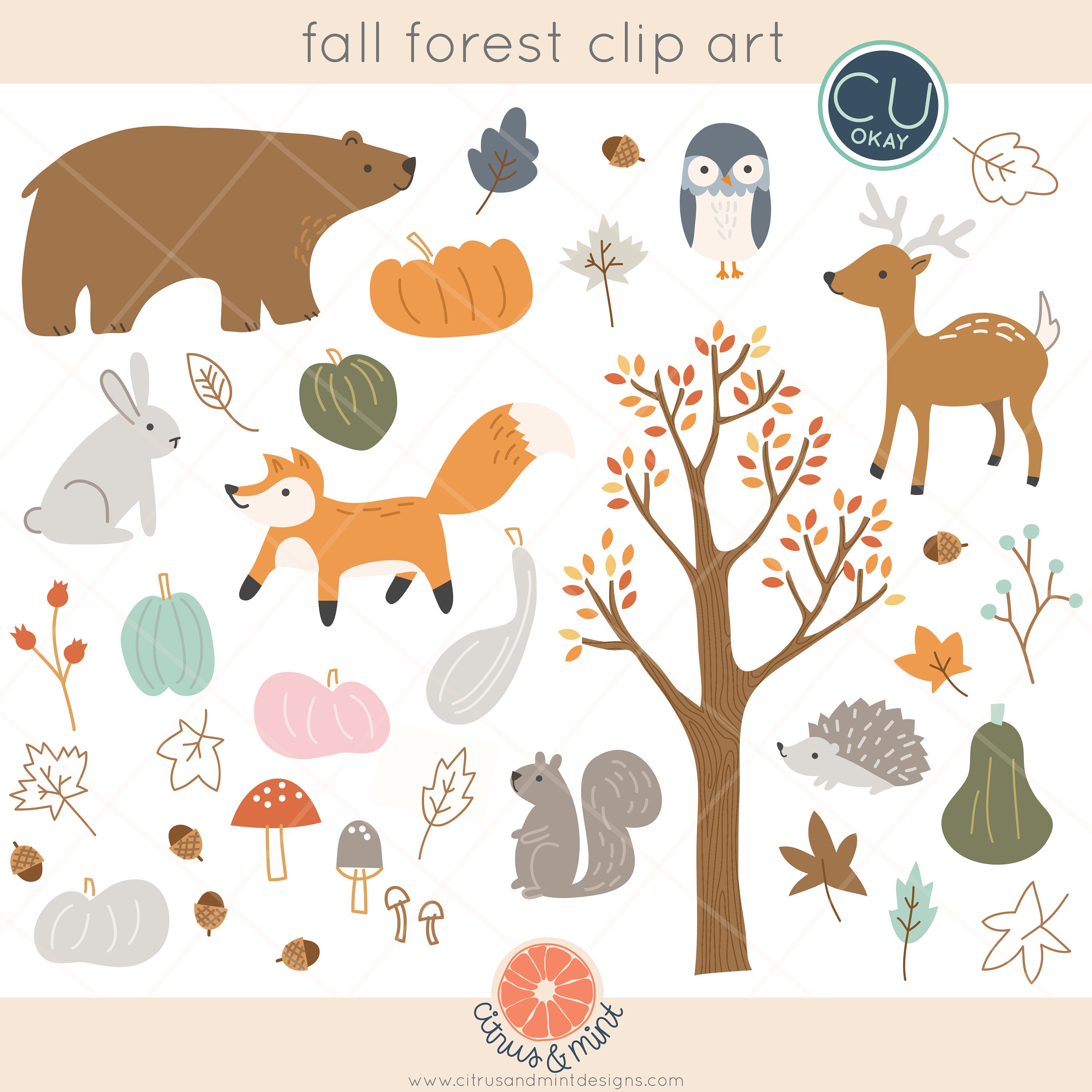 Woodland Forest Fall Animal Clip Art Graphics - Hand-drawn Digital ...