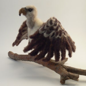 Needle Felted Griffon Vulture, Made to Order - Etsy