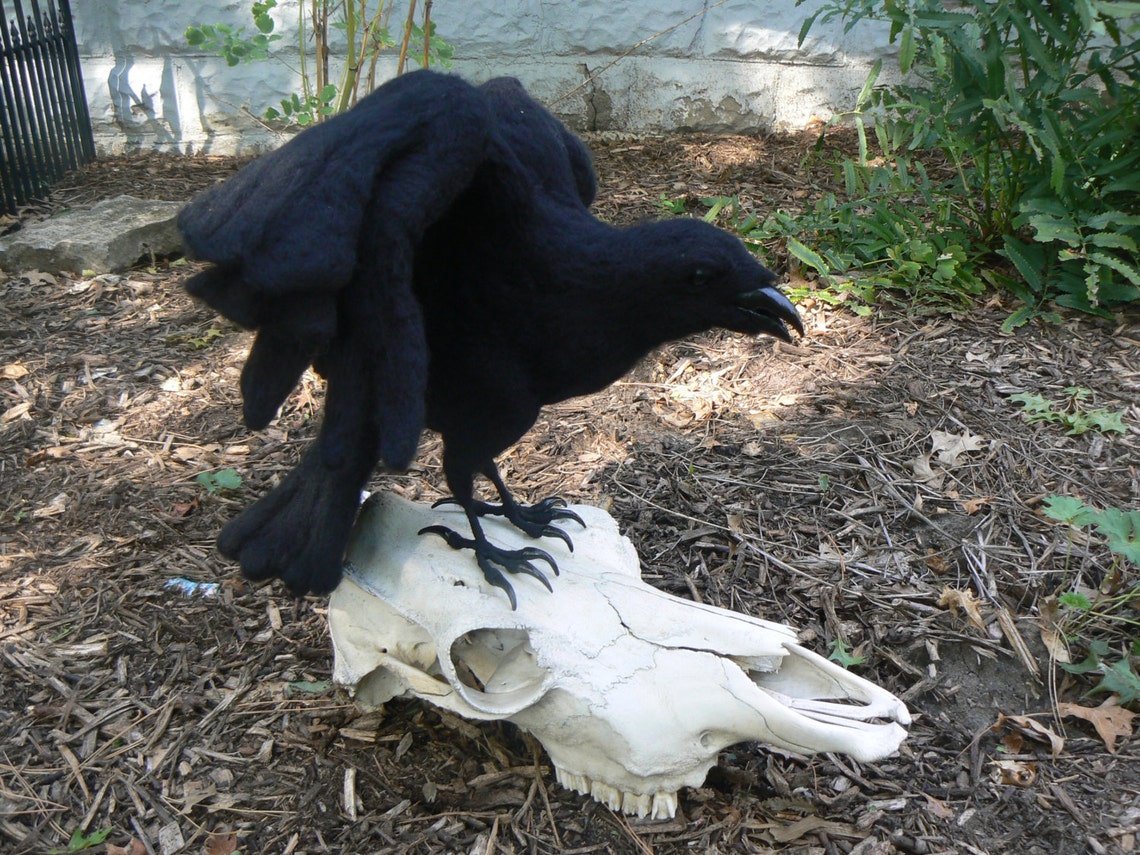 Common Raven, Custom Order - Etsy