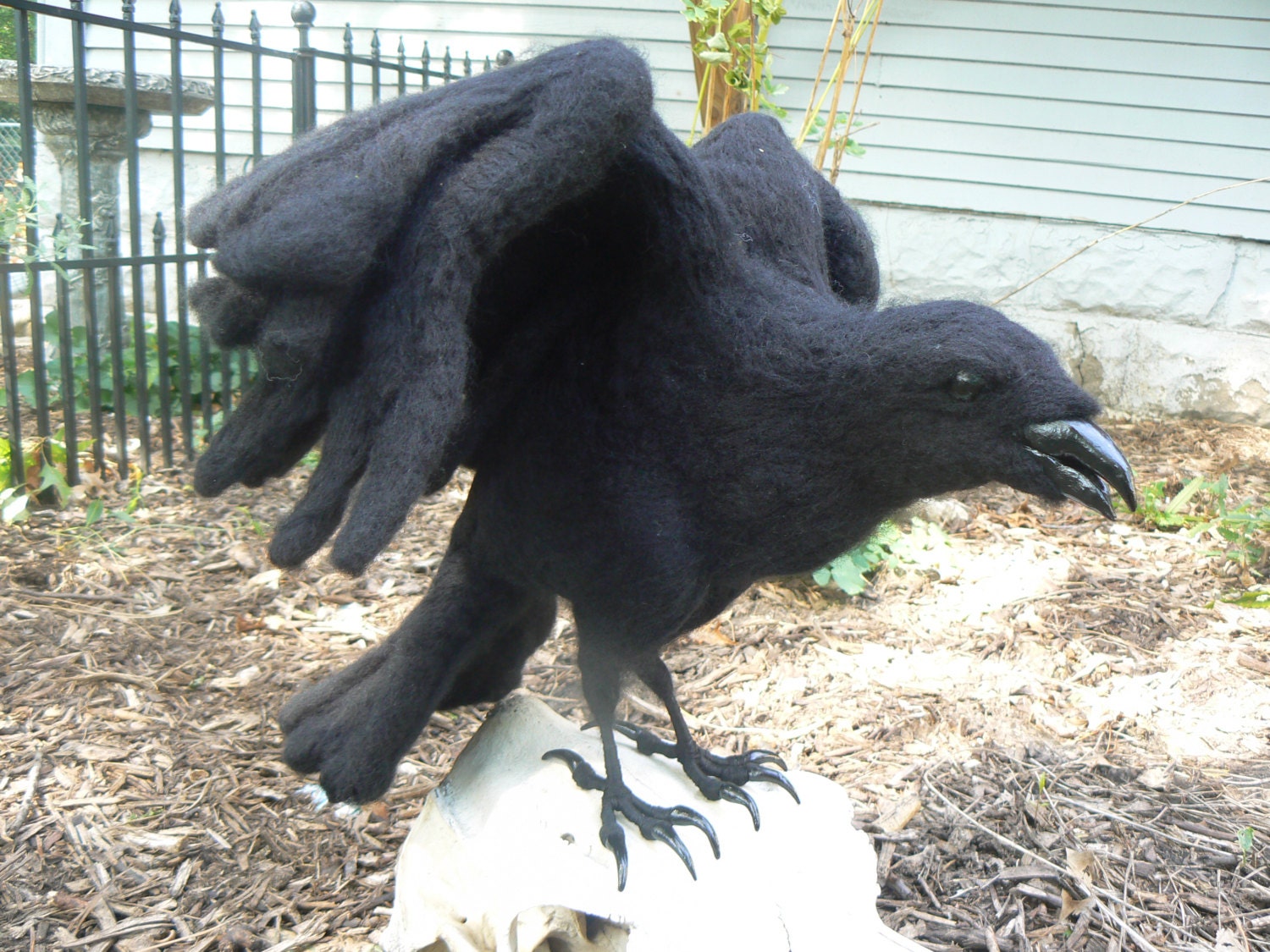 Common Raven, Custom Order - Etsy