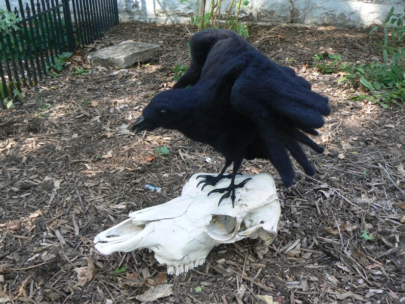 Common Raven, Custom Order - Etsy