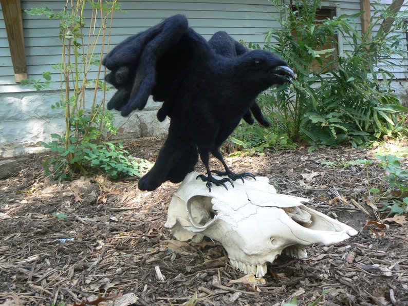 Common Raven, Custom Order - Etsy