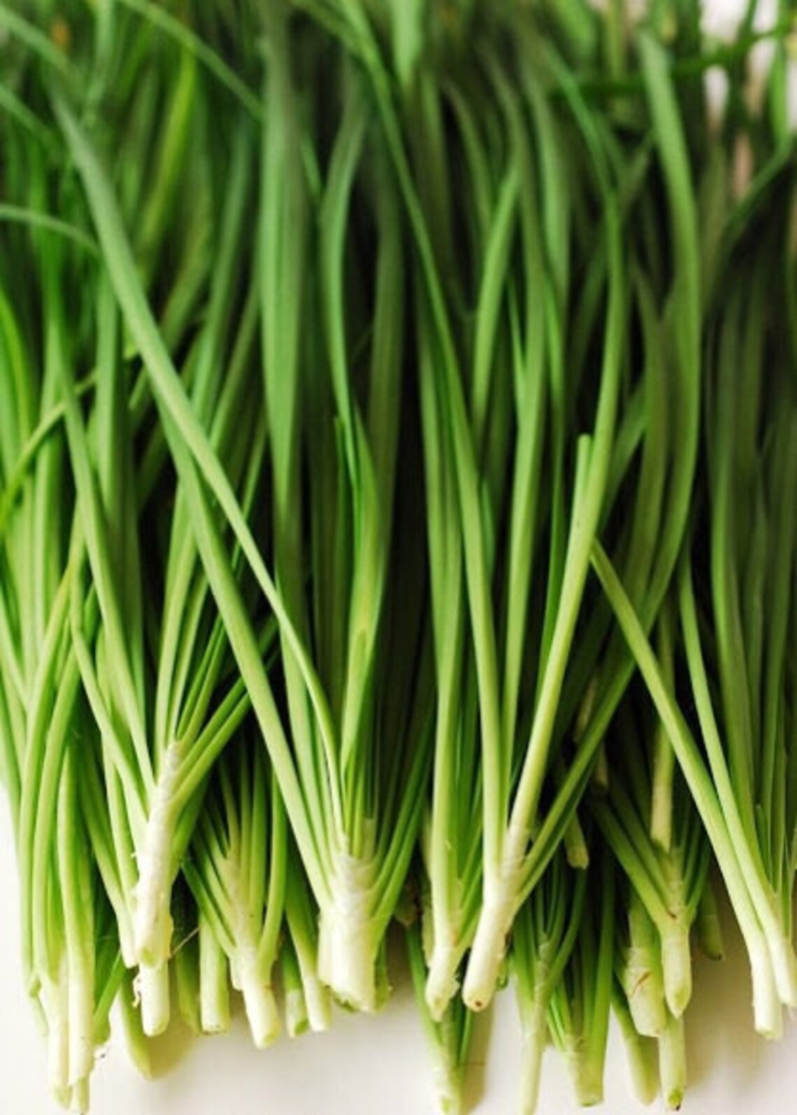 Chinese chives 280 seeds 120 seeds vegetable heirloom | Etsy