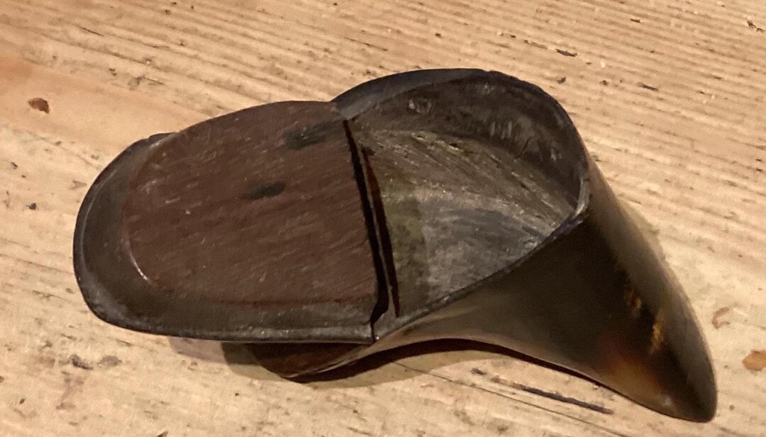 Antique Hoof Snuff Box Taxidermy Oddity Cabinet of Curiosity Curio - Etsy