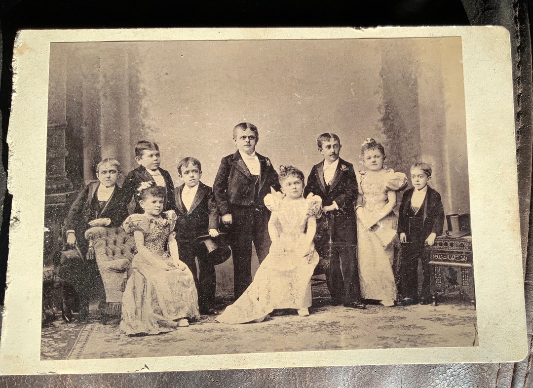 Rare & Unusual Victorian Cabinet Photo the Hummingbirds Les Colibris ...
