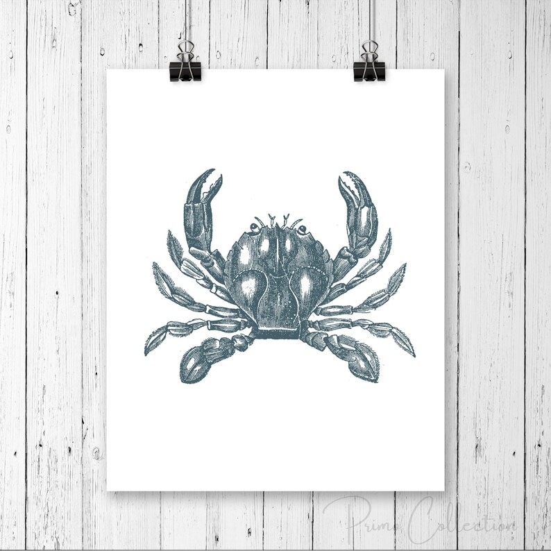 Crab Print, Beach Nursery Decor, Crab Wall Art, PRINTABLE Wall Art ...