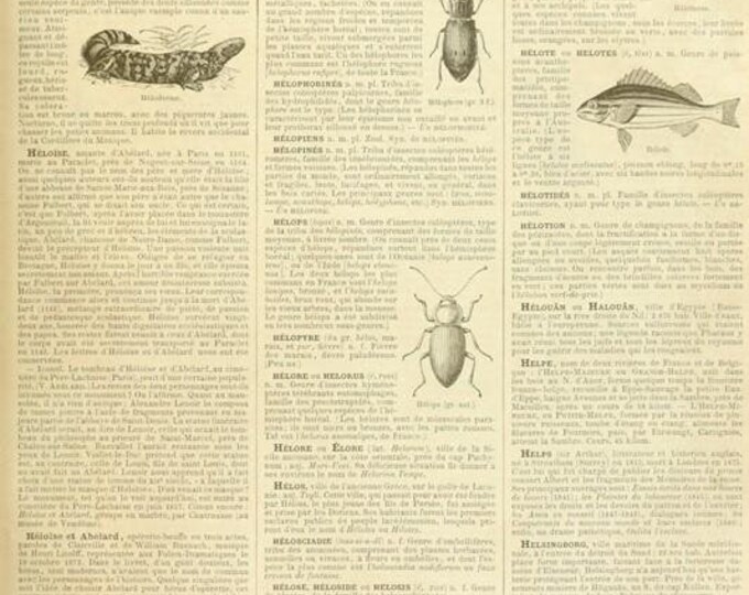 Decoupage Craft Paper by Roycycled Papers Mingos Flamingos - Etsy