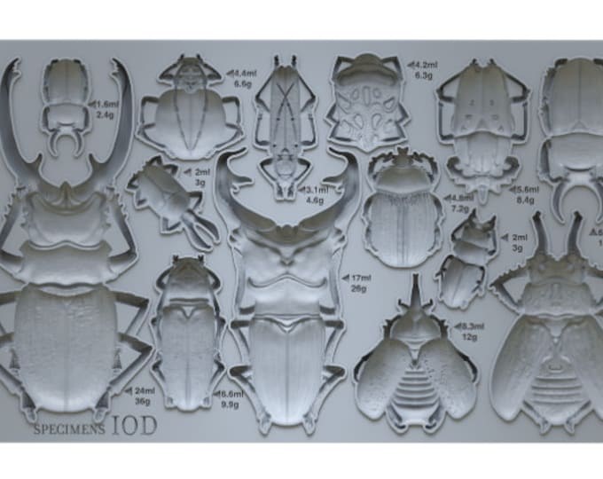 IOD Decor Mould Specimens by Iron Orchid Designs - Etsy