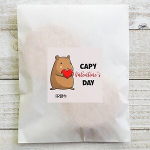 Valentine's Day Capybara Treat Tags Printable, Capy Valentine's Day ...
