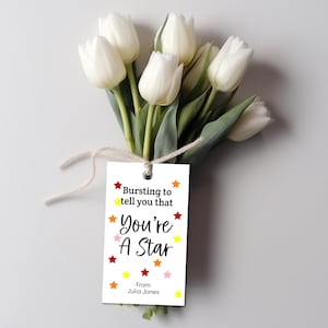 Bursting to Tell You That You're A Star Editable Tag, Printable ...