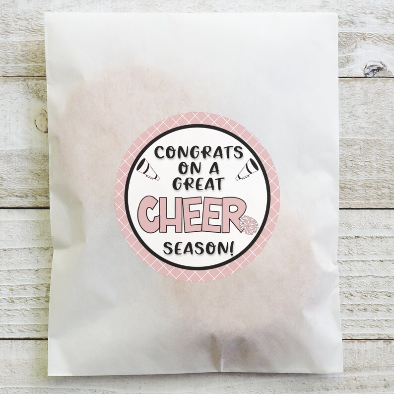 Printable Congrats Cheer Tags, Team Treat Tags, Sports Team Tags ...