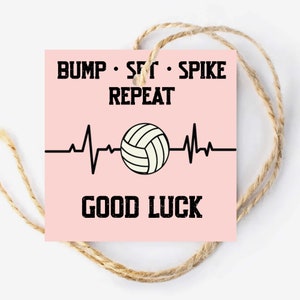 Printable Good Luck Volleyball Tags, Volleyball Team Gifts, Team Treat ...
