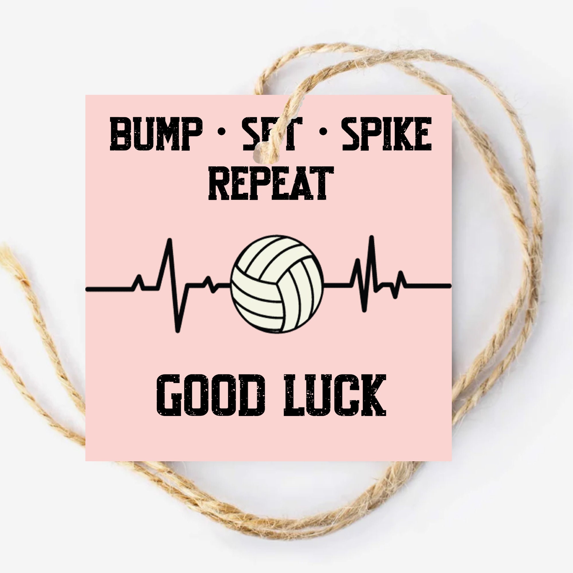 Printable Good Luck Volleyball Tags, Volleyball Team Gifts, Team Treat ...