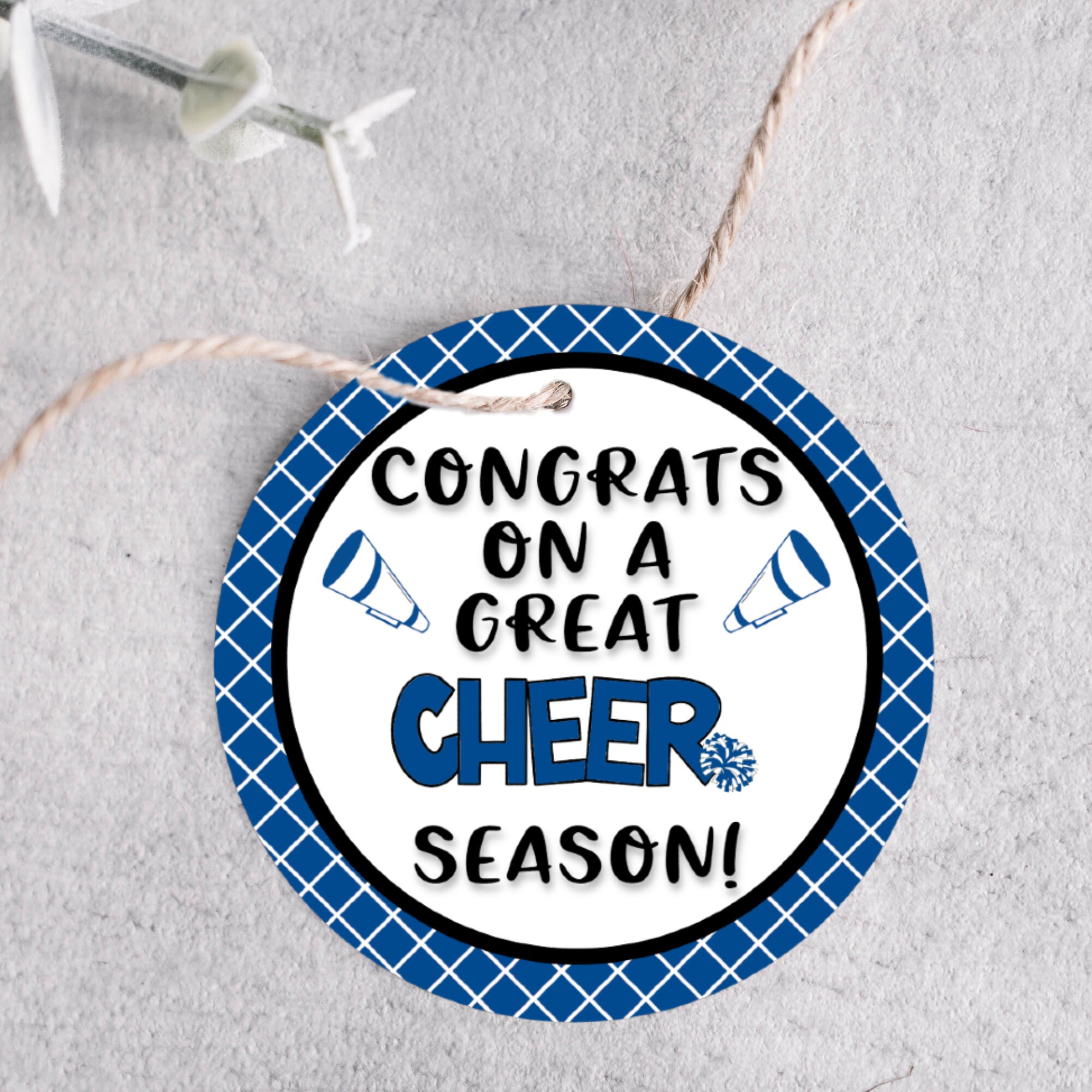 Printable Congrats Cheer Tags, Team Treat Tags, Sports Team Tags ...