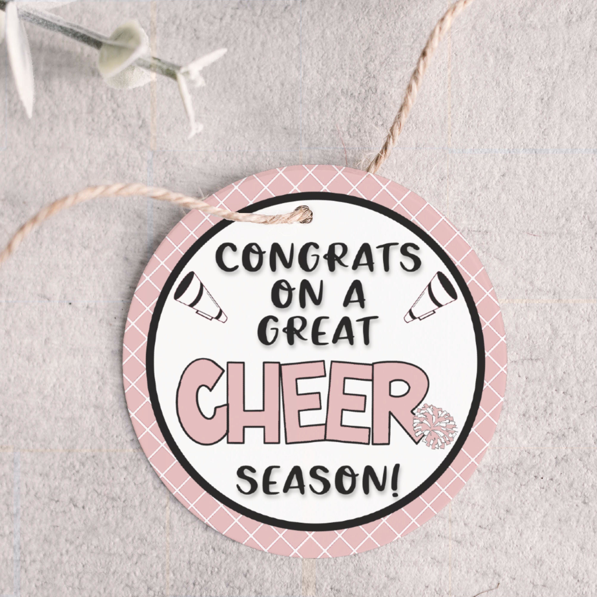 Printable Congrats Cheer Tags, Team Treat Tags, Sports Team Tags ...
