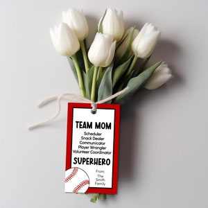 Baseball Team Mom Thank You Tag Editable Template, Personalized ...
