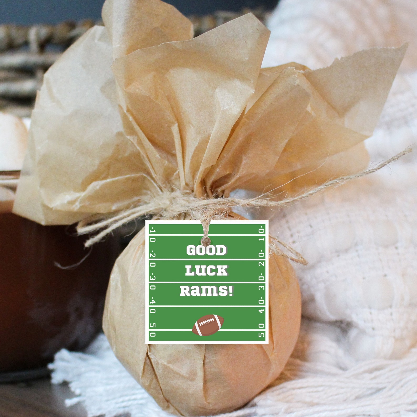 EDITABLE Football Tag Printable Sports Tags Tags for Team - Etsy