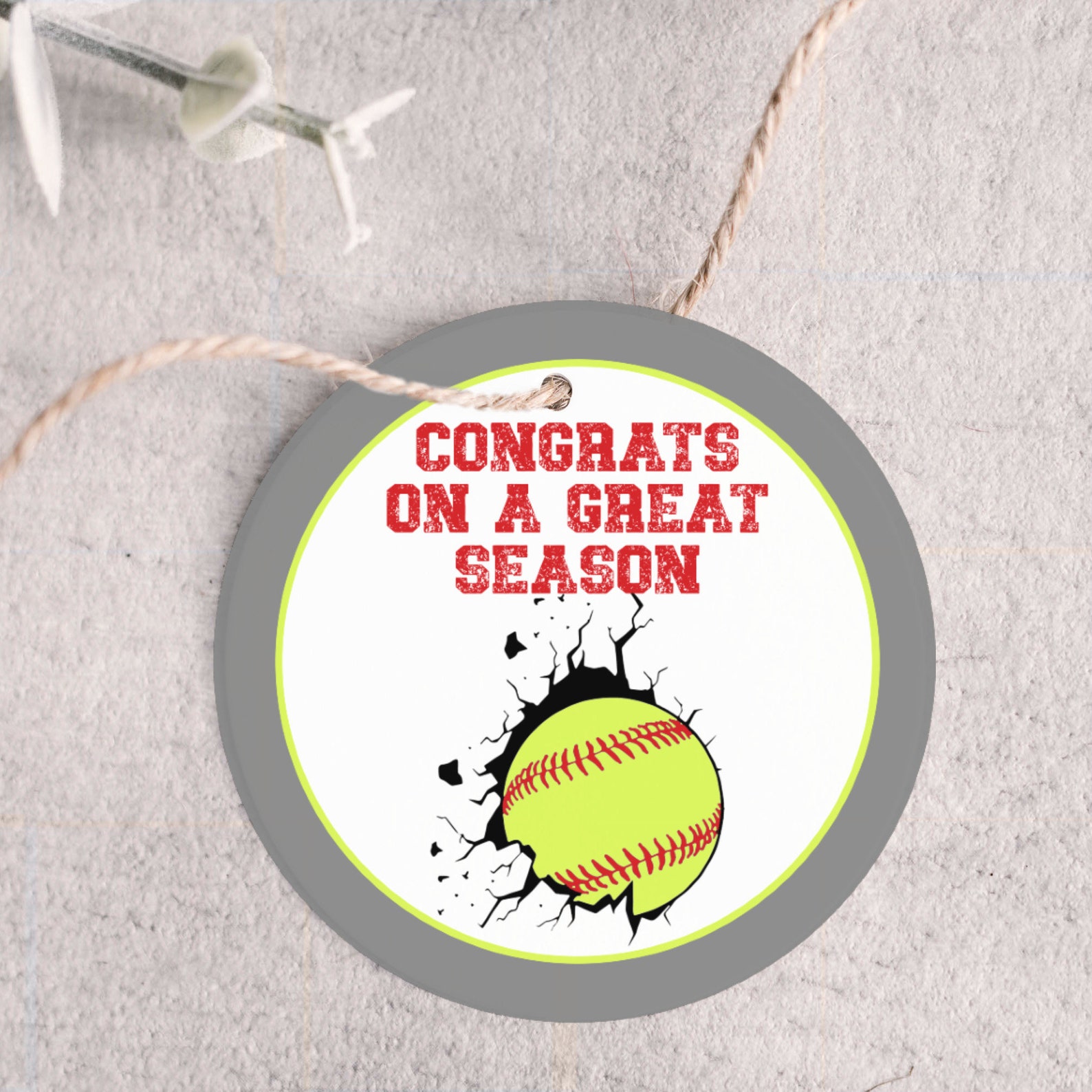 Printable Softball Tags, Congrats on a Great Season, Team Treat Tags ...