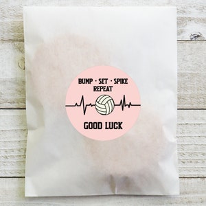 Printable Good Luck Volleyball Tags, Volleyball Team Gifts, Team Treat ...