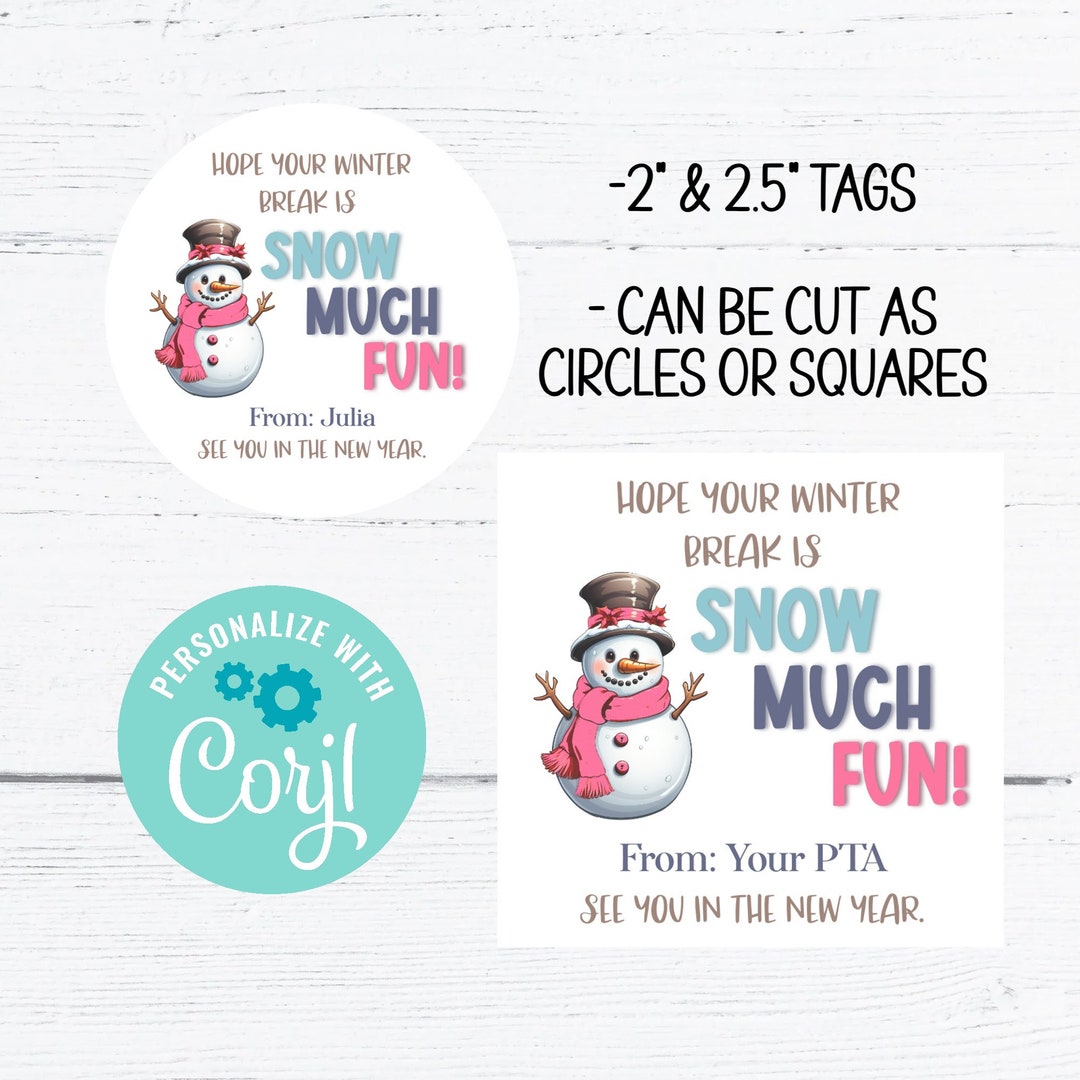 EDITABLE Winter Break Favor Tags, Printable Party Favor Tags, Snow Much ...