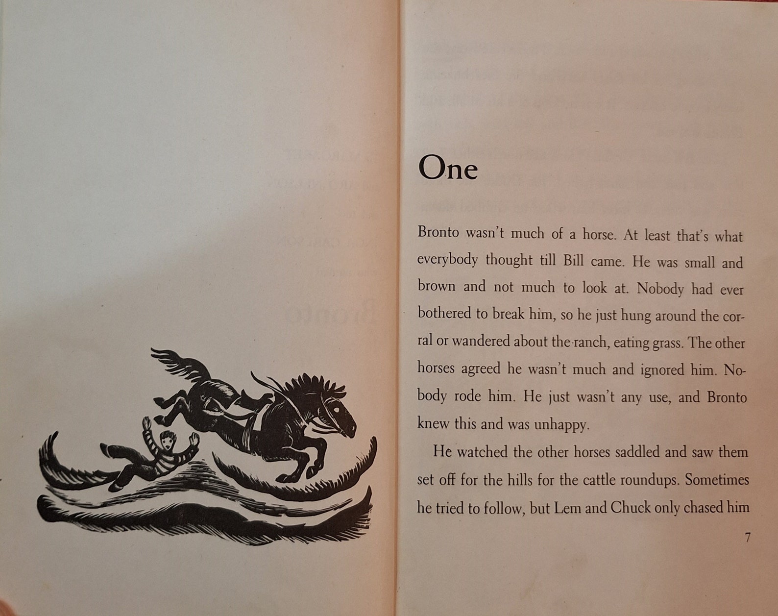 Vintage Book Bronto by Hetty Burlingame Beatty First Edition 1952 - Etsy