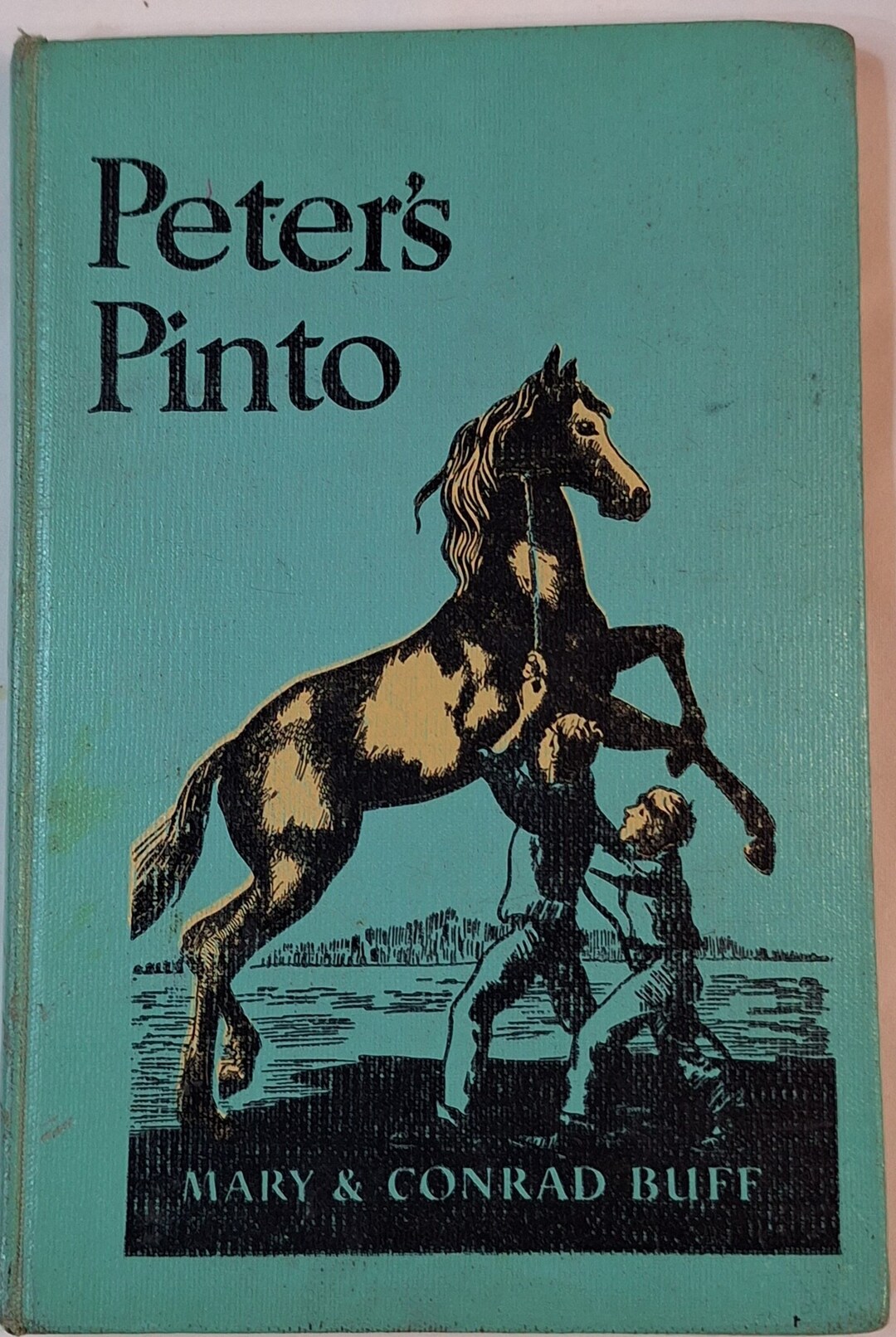 Vintage Book “peter’s Pinto, a Story of Utah” by Mary and Conrad Buff ...