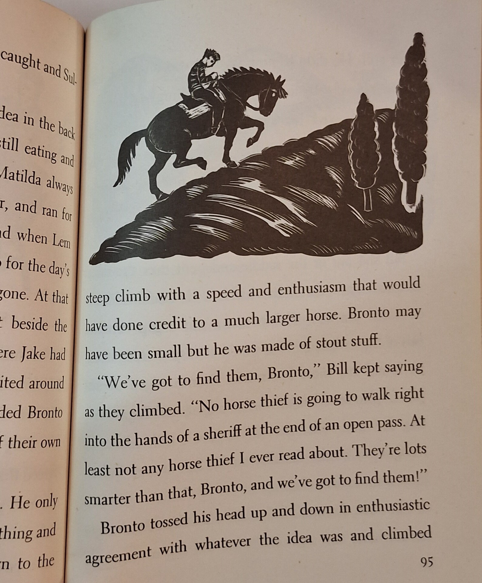 Vintage Book Bronto by Hetty Burlingame Beatty First Edition 1952 - Etsy