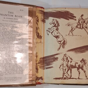 Vintage Book “the Phantom Roan” by Stephen Holt First Edition– 1949 - Etsy