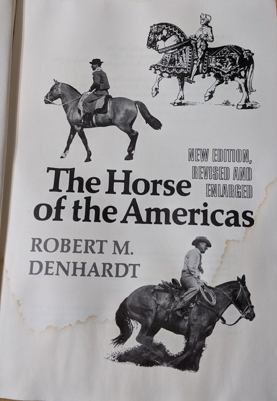 Vintage Book the Horse of the Americas by Robert M. Denhardt | Etsy